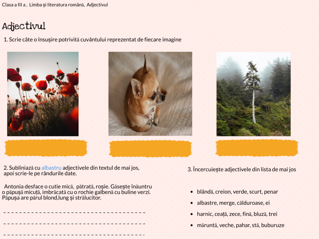 Adjectivul | R.E.I. - Resurse Educație Incluzivă