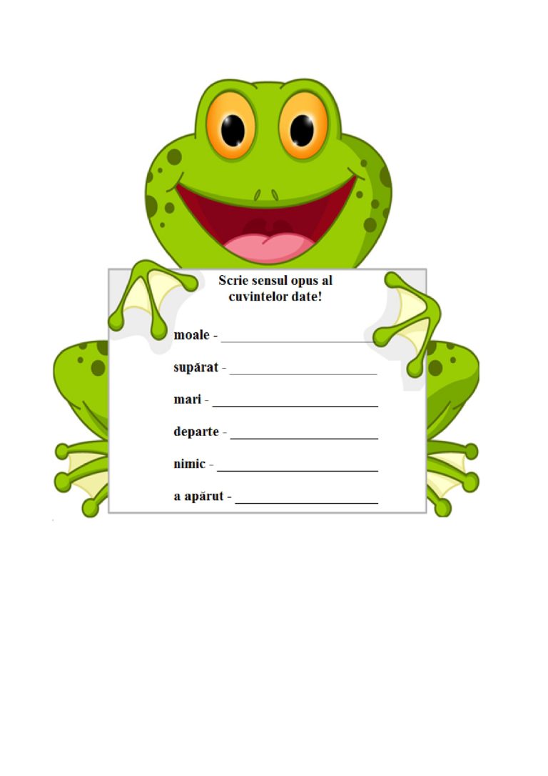 Cuvinte cu sens opus | R.E.I. - Resurse Educație Incluzivă