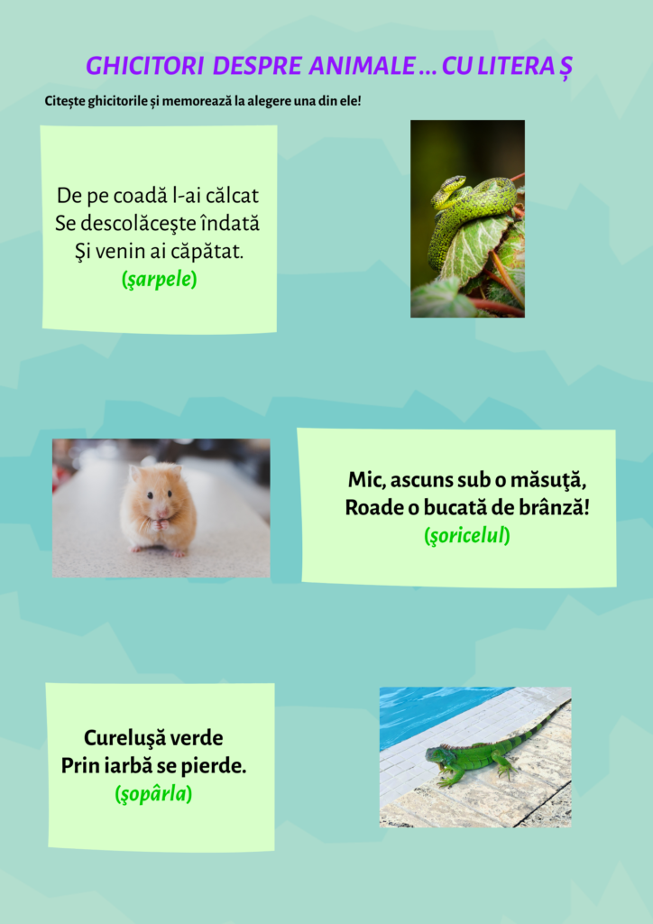 Ghicitori despre animale ... cu litera Ș | R.E.I. - Resurse Educație ...