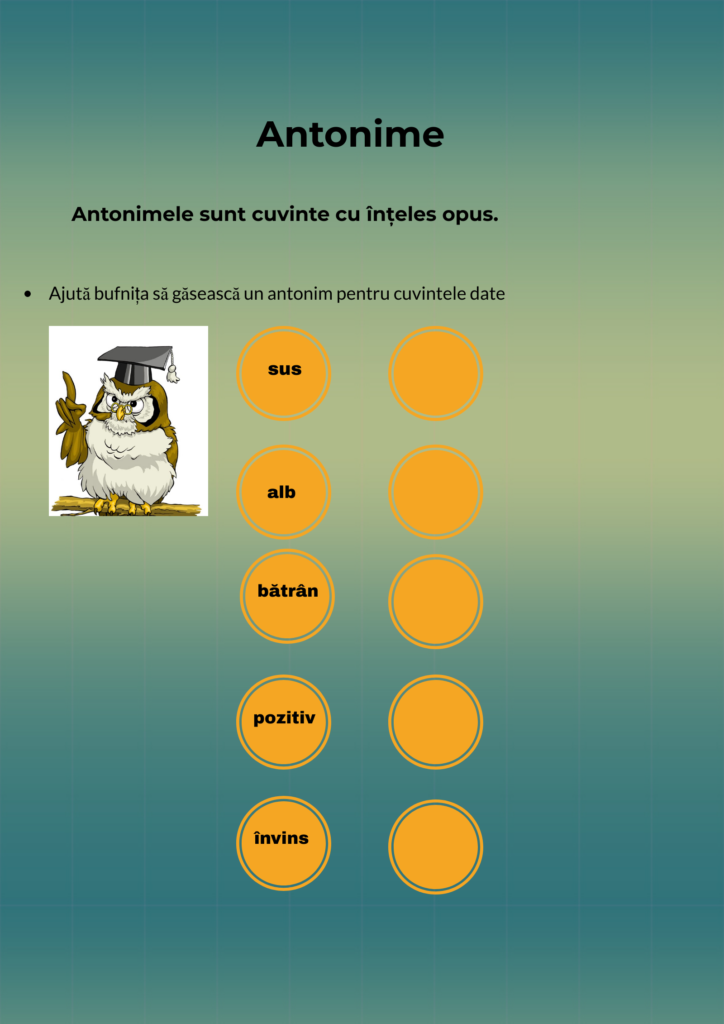 Antonime | R.E.I. - Resurse Educație Incluzivă