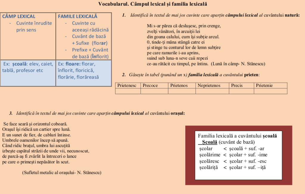 Câmpul lexical și familia lexicală | R.E.I. - Resurse Educație Incluzivă