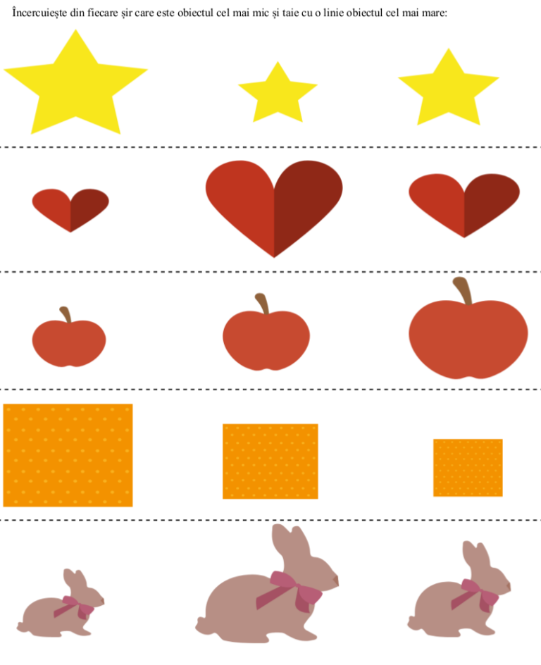 Mare mic | R.E.I. - Resurse Educație Incluzivă