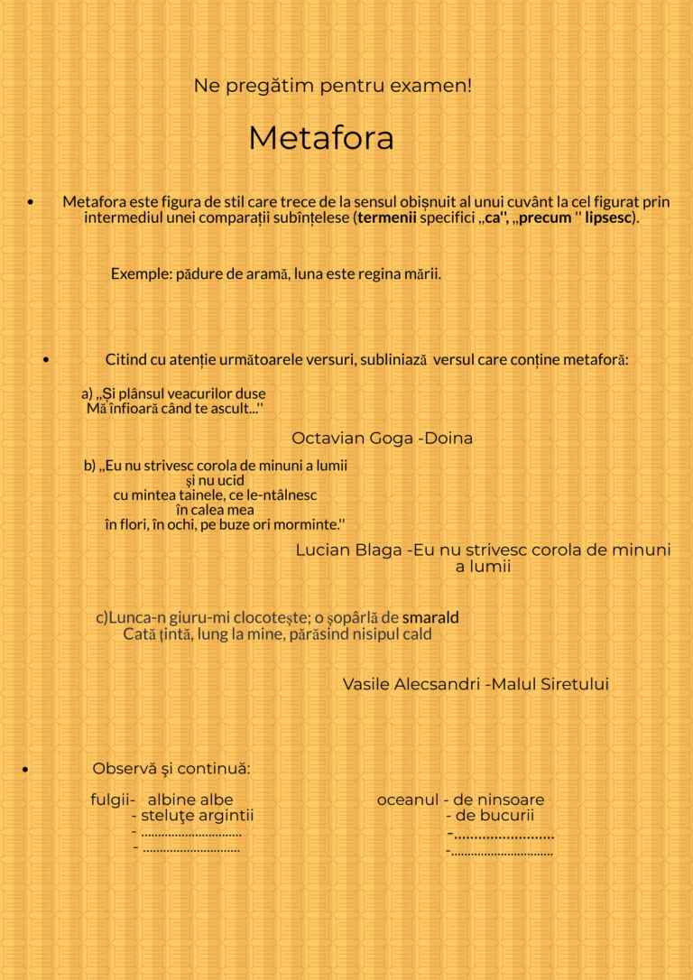 Metafora-figura de stil | R.E.I. - Resurse Educație Incluzivă