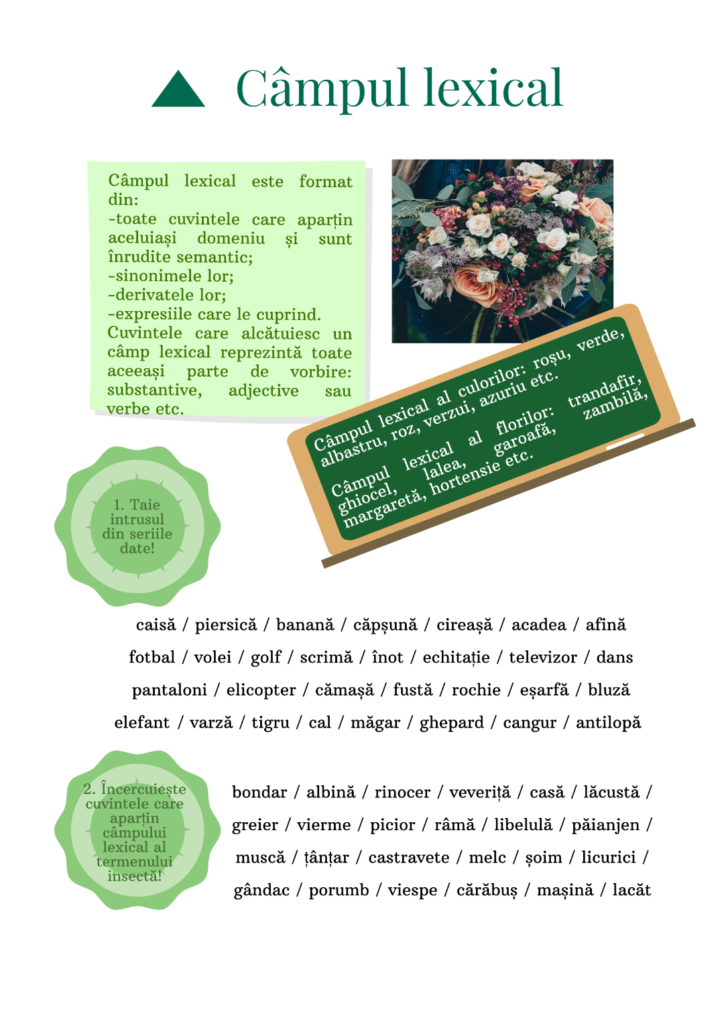 Câmpul lexical | R.E.I. - Resurse Educație Incluzivă