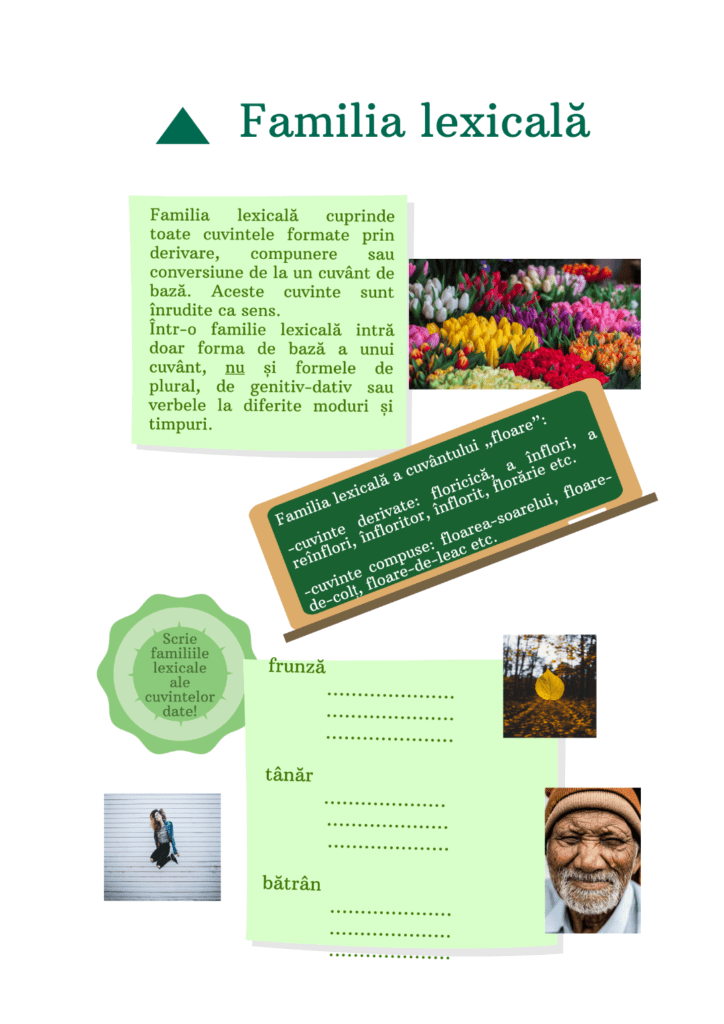 Familia lexicala | R.E.I. - Resurse Educație Incluzivă