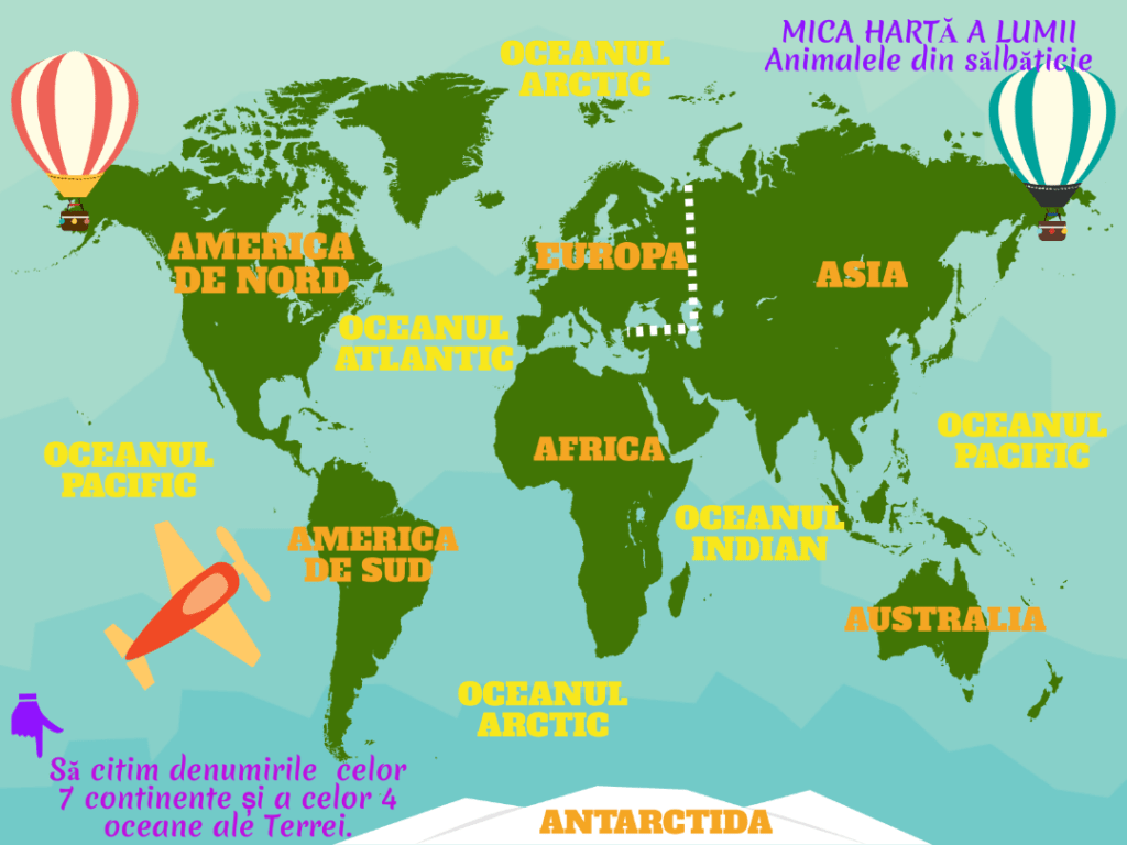 Harta animalelor în 6 pași | R.E.I. - Resurse Educație Incluzivă