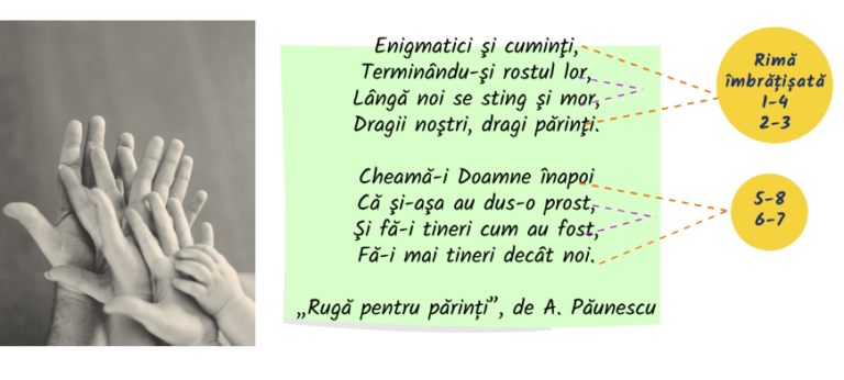 3 rime din 3 poezii | R.E.I. - Resurse Educație Incluzivă