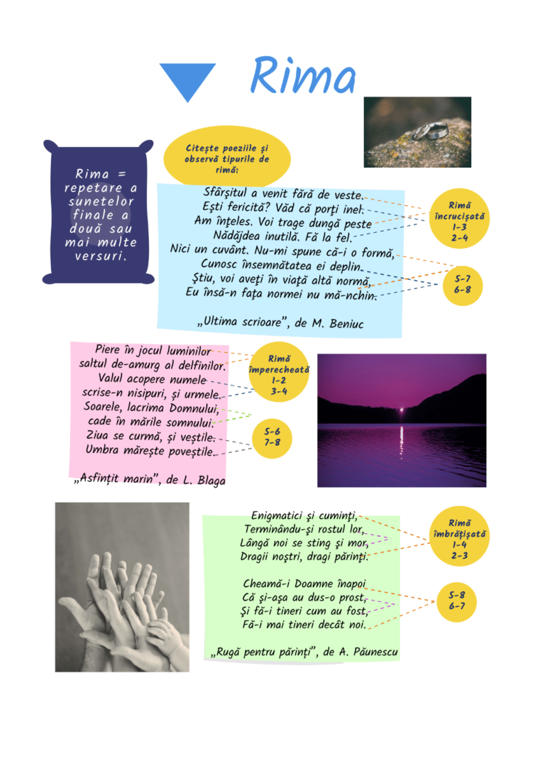 3 rime din 3 poezii | R.E.I. - Resurse Educație Incluzivă