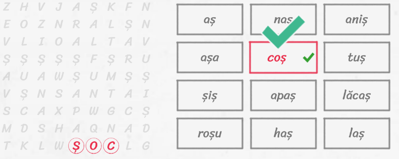 Cuvinte inverse cu Ș | R.E.I. - Resurse Educație Incluzivă