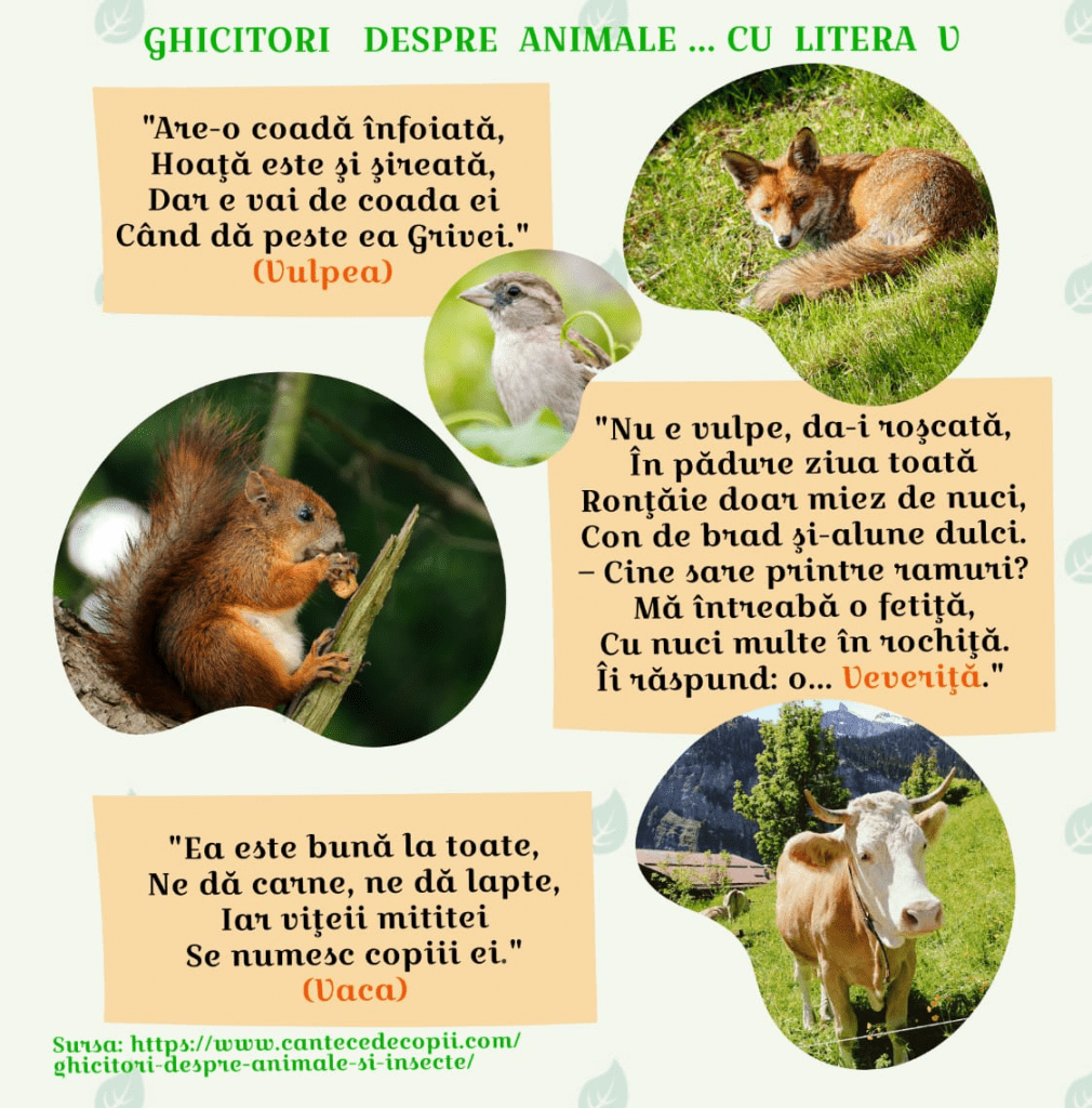Ghicitori cu animale - sunetul V | R.E.I. - Resurse Educație Incluzivă