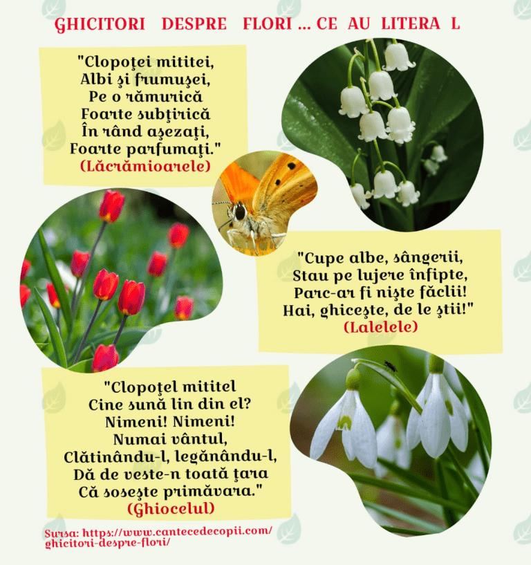 Ghicitori cu flori - sunetul L | R.E.I. - Resurse Educație Incluzivă