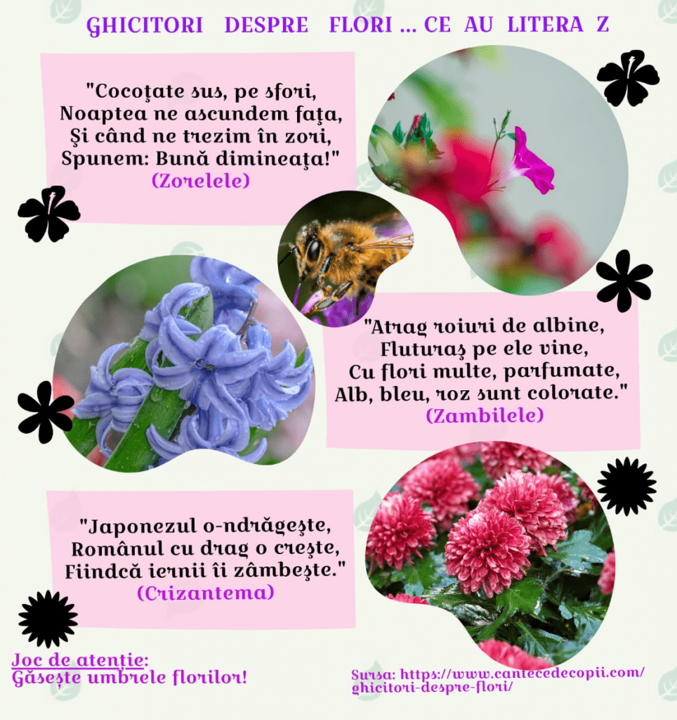 Ghicitori cu flori - sunetul Z | R.E.I. - Resurse Educație Incluzivă